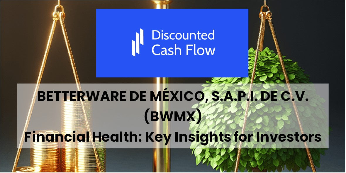 Desglosando Betterware de M xico, S.A.P.I. de C.V. (BWMX): Ideas clave ...