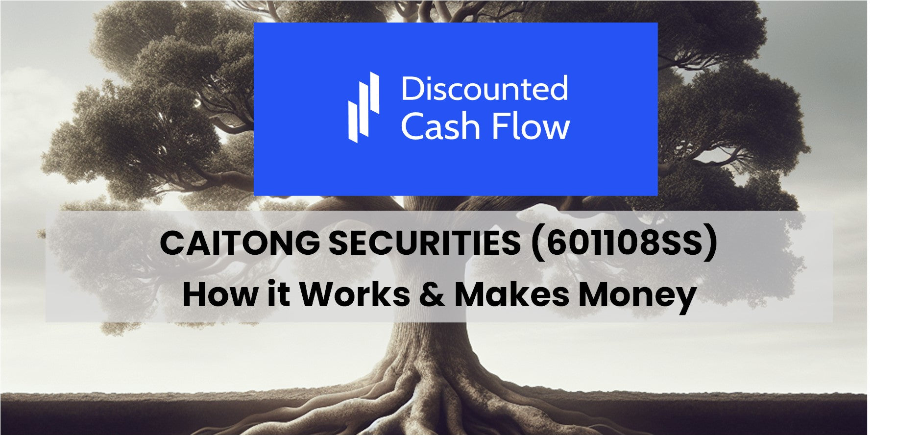 Caitong Securities (601108SS): history, ownership, mission, how it ...