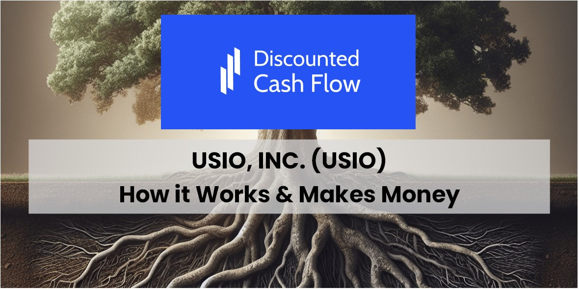 Usio, Inc. (USIO): history, ownership, mission, how it works & makes money