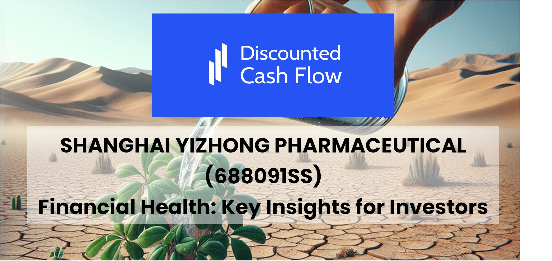 Breaking Down Shanghai Yizhong Pharmaceutical (688091SS) Financial ...