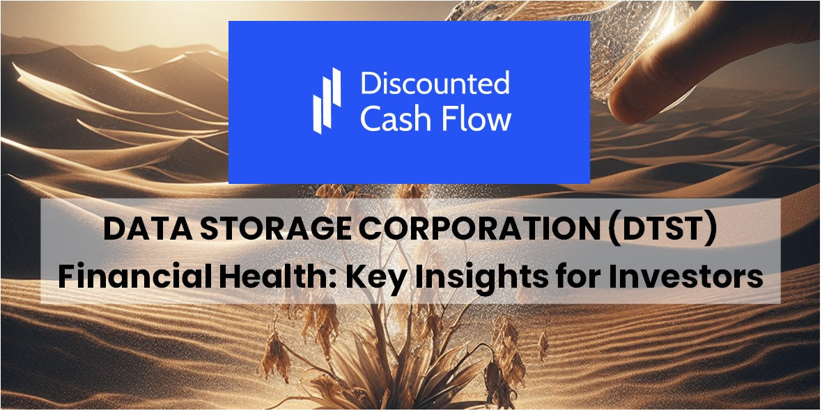Breaking Down Data Storage Corporation (DTST): Key Insights for Investors