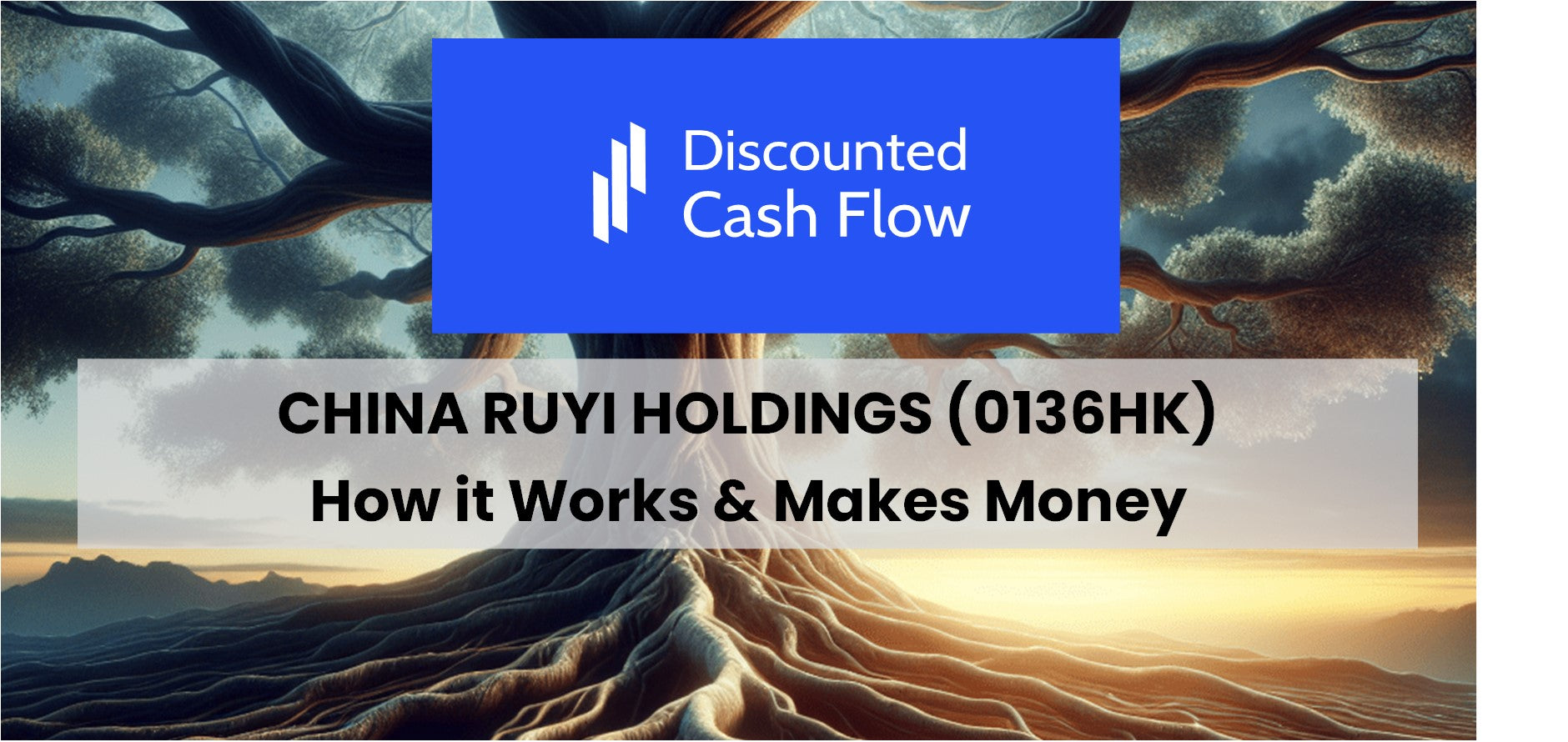China Ruyi Holdings (0136HK): history, ownership, mission, how it works ...